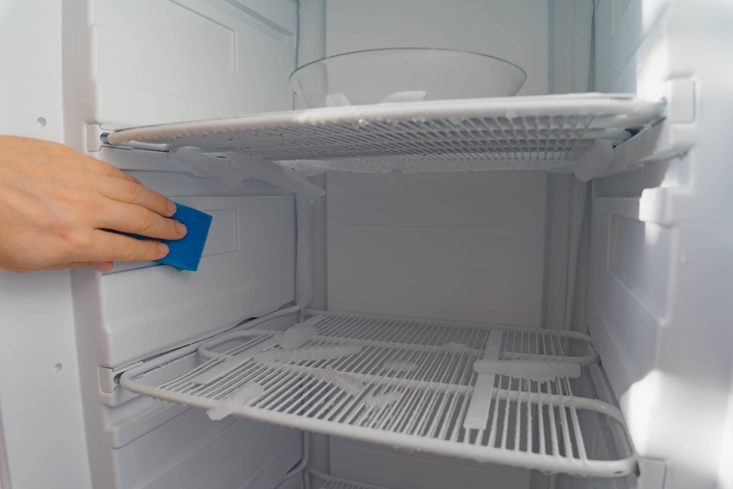 How Long Does It Take for a Freezer to Freeze After Defrosting ?: Quick ...