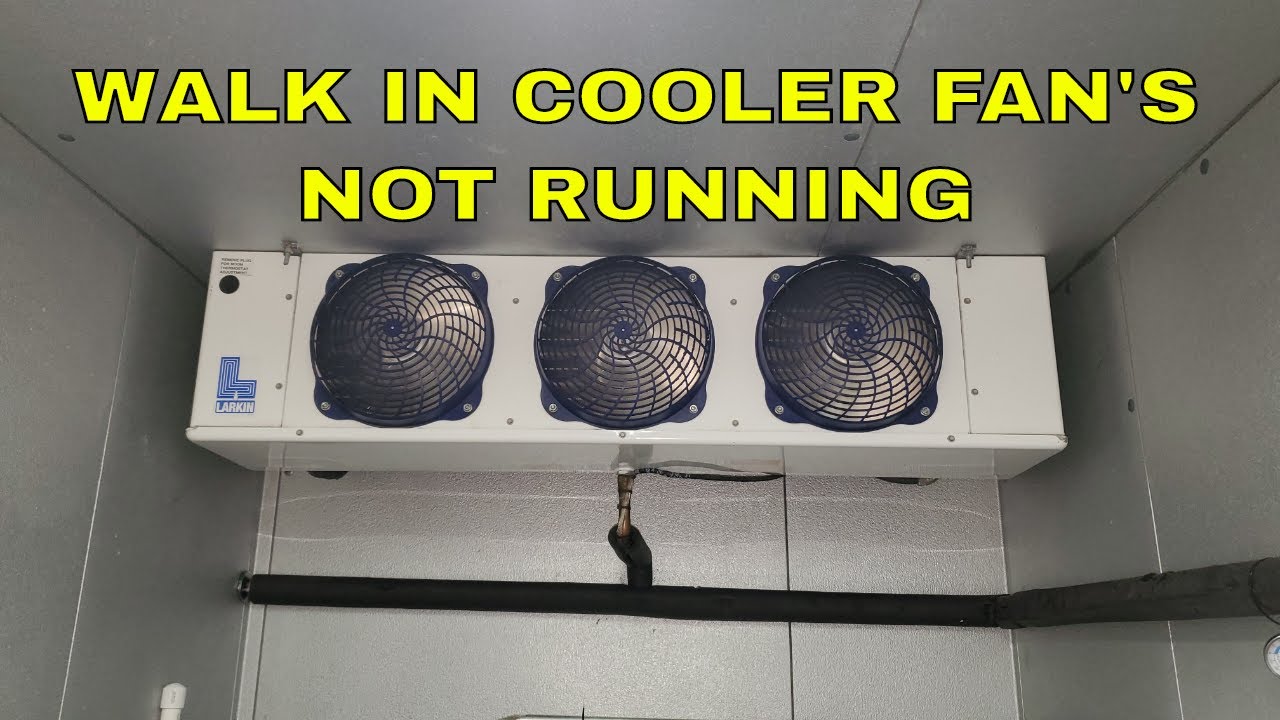Walk in Freezer Fans Not Running - Freezers Metro