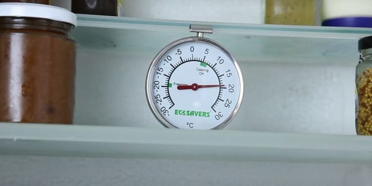 How to Check Freezer Temperature With Thermometer (Quick DIY)