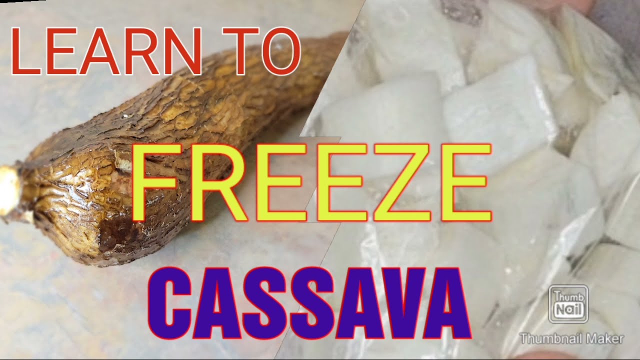 How to Store Cassava in Freezer: Ultimate Guide for Freshness ...